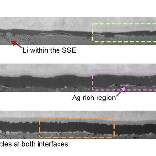 Cross Sectional PFIB SEM Characterization After The First Li Download Scientific Diagram