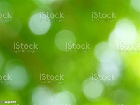Bokeh 빛 배경 흐림 공원 0명에 대한 스톡 사진 및 기타 이미지 0명 곡선 공예 Istock