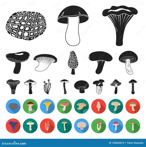 Poisonous And Edible Mushroom Blackflat Icons In Set Collection For