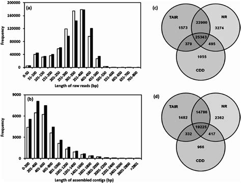 Sequencing Reads Assembly And Annotation Size Distribution Of 454 Download Scientific Diagram
