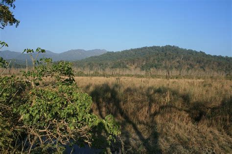 Venture Force Expeditions India Corbett National Park Safari