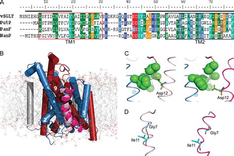 The Tm1 Residue Assignment Ra0 Is Not Compatible With The Backbone Download Scientific Diagram