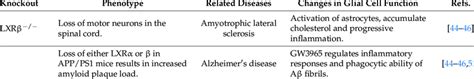 Summary Of Neurological Phenotypes Resulting From Lxr Deletion Download Scientific Diagram