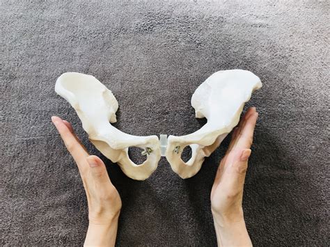 ヨガで骨盤矯正はできる？できる理由と矯正するメリット、効果、注意点 オトコロドットコム