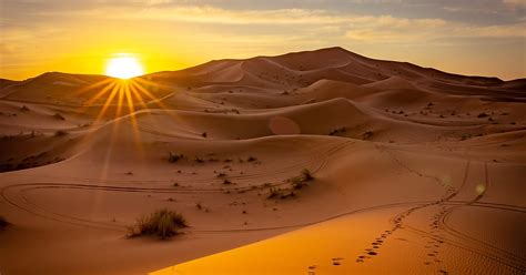 Libri Sul Deserto Su Lecce Scout