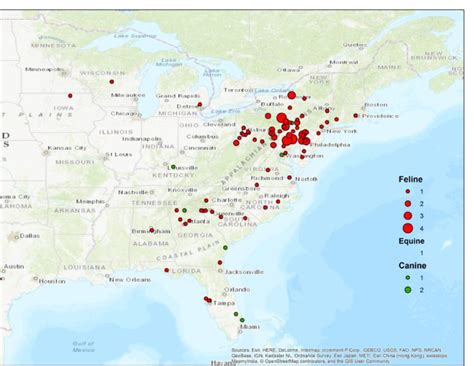 How Many Rabies Cases In Us Per Year At Jake Spragg Blog