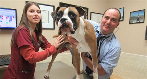 Jonathan Bingham Dvm Emergency Veterinarian Care
