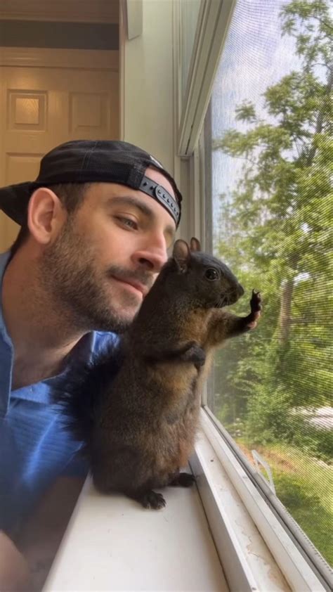 Owners Of P Nut The Squirrel Sue New York For 10 Million