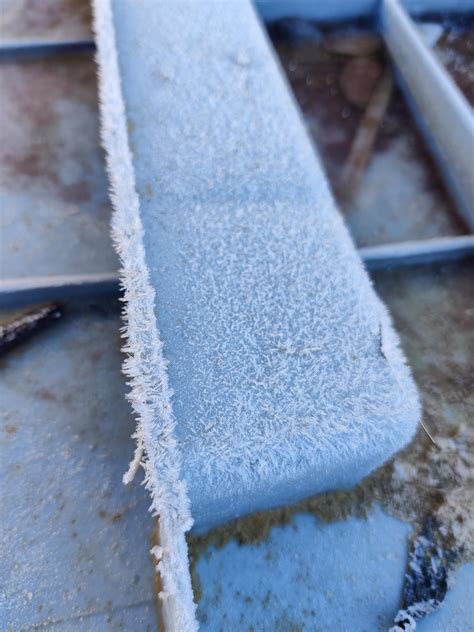 These Tiny Ice Shards After Tonights Frost R Mildlyinteresting