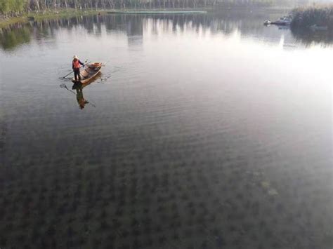 清水型生态系统构建技术 清水型生态系统构建技术 江苏华淼生态科技有限公司