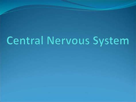 The Human Brain Its Parts And Functions Pptx