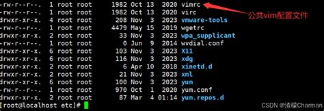 Linux基础开发工具—vim Csdn博客