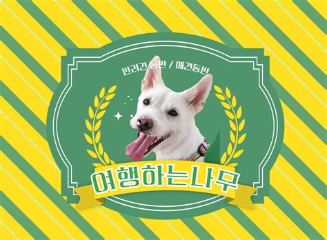여행하는 나무의 일상 여행하는 나무