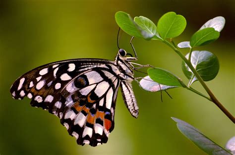 תמונות וצילומים של יהודה משי תמונות לעיצוב הבית או המשרד