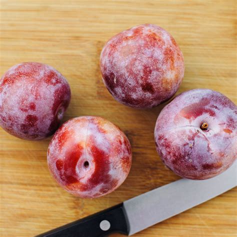 Dapple Dandy Pluot Trees for Sale | FastGrowingTrees.com