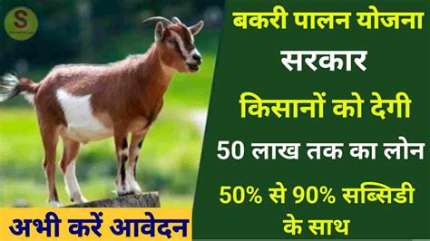 Goat Farming Loan Apply Process बकरी पालन के लिए मिलेगा 50 लाख रुपए