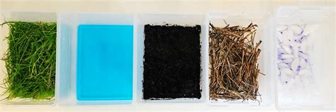 Best Were Going On A Bear Hunt Sensory Activity