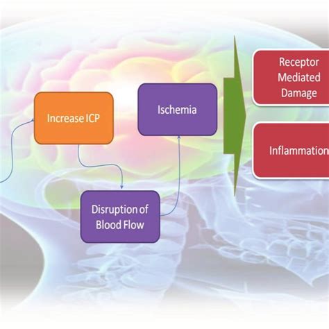 Pdf Efficacy Comparison Of Mannitol And Hypertonic Saline For Traumatic Brain Injury Tbi