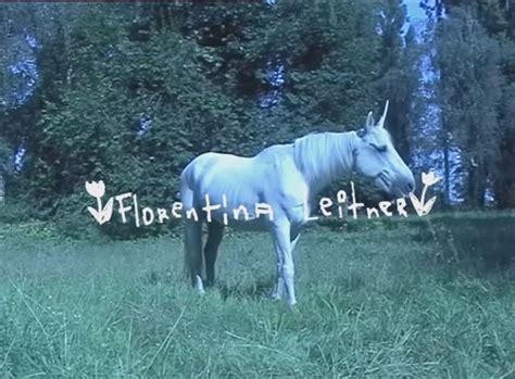 𝘾𝙖𝙨𝙚𝙨𝙩𝙪𝙙𝙮 ⠀⠀⠀⠀ Asics 어퍼 레이스 디테일과 접지력이 뛰어난 트레일 전용 아웃솔이 적용되어 세련되면서도 빈티지한 감성이 돋보이는 독특한 실루엣의 Gel