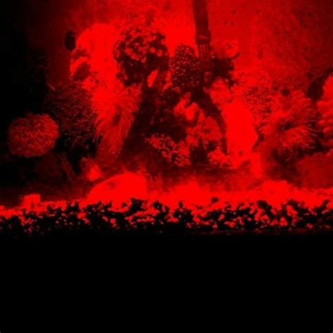 Stream Sex And Guitars By Karate Kenny Listen Online For Free On Soundcloud