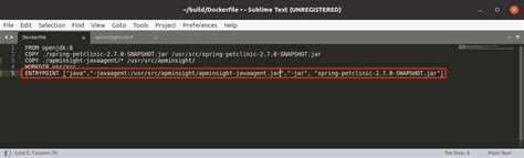 install the apm insight java agent in a docker container online help