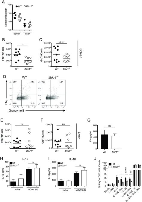 Ifn Promotes Ifn Nk Cell Responses A Neutrophil Numbers In The