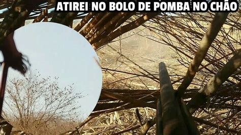 CAÇADA DE POMBA NA CEVA DE MILHO NO CHÃO VÁRIOS ABATES DE RESPONSA YouTube