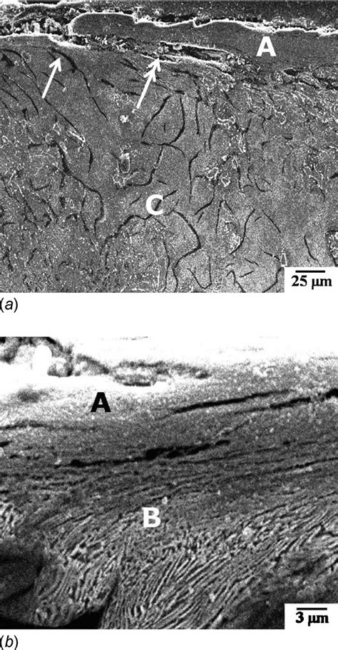 Subsurface Regions Of The Samples Tested In The Oil At The Pressure Of