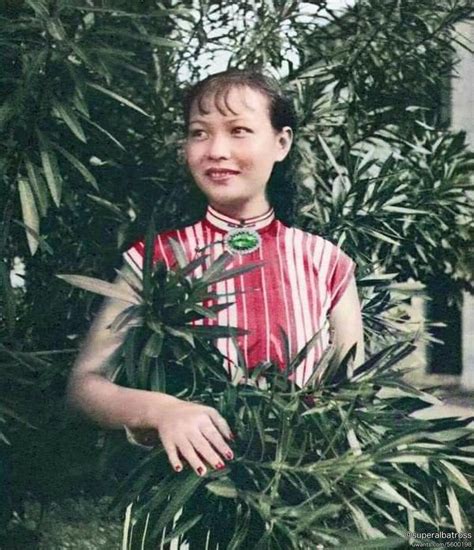 梅綺1923 1966 香港懷舊文化