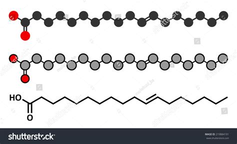 Vaccenic Acid Molecule Trans Fatty Acid Stock Vector Royalty Free