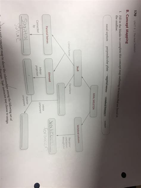 Solved fill in the blanks to complete the concept map | Chegg.com