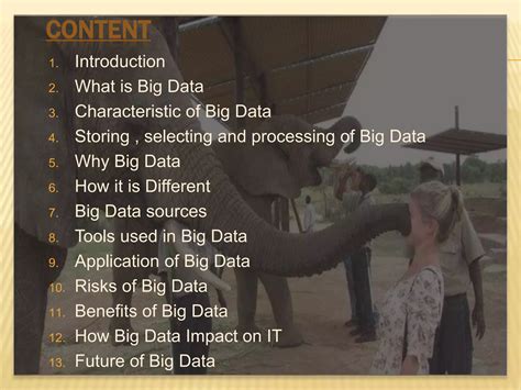 big data ppt prepared by hritika raj shivalik college of engg pptx