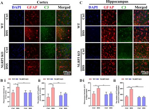 Colitis Promoted Transformation To The A1 Like Astrocyte Phenotype In