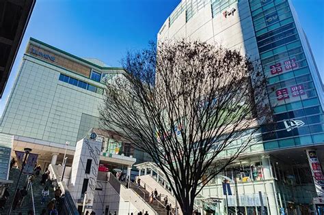 Free Shinjuku Station New South Exit Area Photo Material 10985 Photock