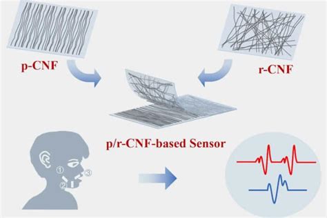 Flexible Strain Sensor With High Sensitivity And Wide Strain Detection Range