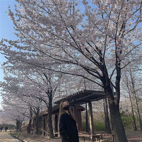 kris ʖ on Twitter RT kaheipic VIVI 비비 LOONA 이달의소녀