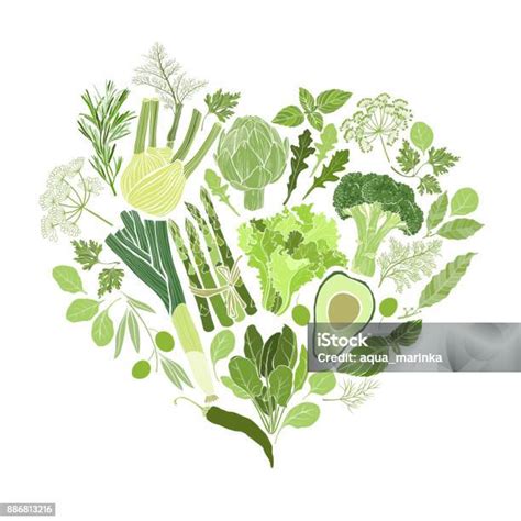 녹색 야채 향신료와 요리 허브 음식 배경입니다 심장 모양의 벡터 일러스트입니다 녹색에 대한 스톡 벡터 아트 및 기타 이미지 녹색 채소 개체 그룹 Istock
