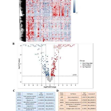 Degs In Pca Bm A Heat Map Representing Degs Produced By Morpheus Download Scientific