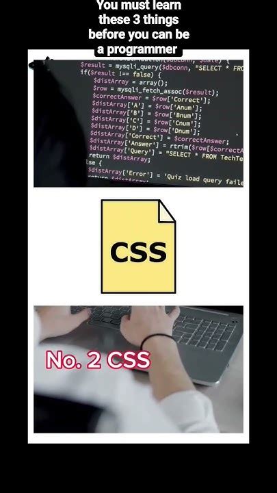 coding viral codinglover youtubeshorts web programming ytshorts
