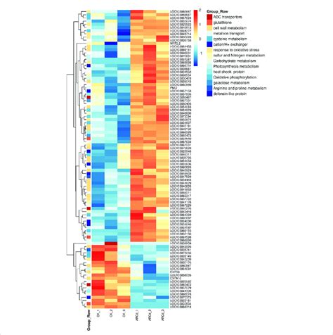 Heat Maps Represented The Log2 Fold Change In The Expression Of DEGs