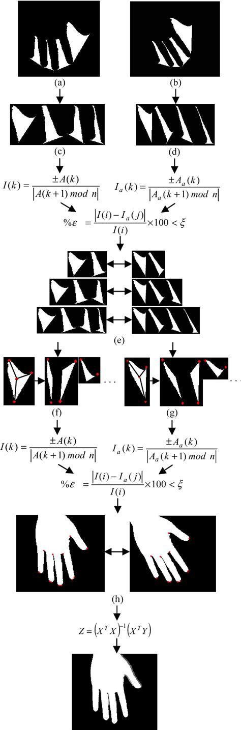 figure 5 from hand shape identification using palmprint alignment based