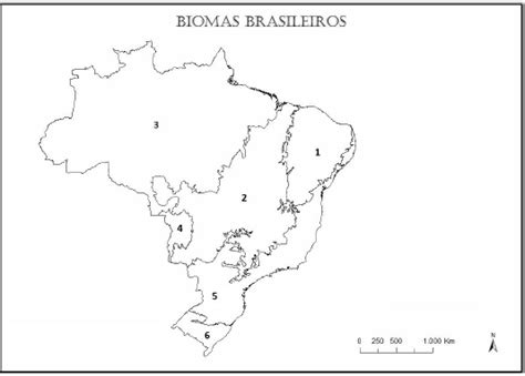 Observe O Mapa A Seguir Os Biomas Representados No Mapa Na 19488 The