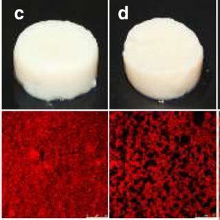 Images Top Row And CLSM Bottom Row Of CFG SPI Double Network Gels