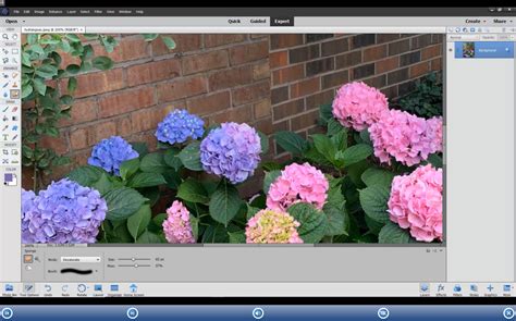 Mastering Photoshop Elements Made Easy Digital Edition Onlinedownload Teachucomp Inc