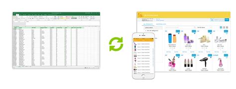 Salesin Import And Export Via Excel Documents