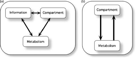 Figure 1 From Evolution And Self Assembly Of Protocells Semantic Scholar