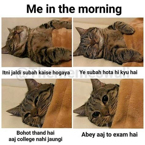 Unknown On Instagram “ Nibbi Nibba Nibbinibbamemes Nibbimemes