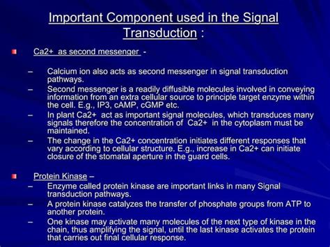 Signal Transduction Process Ppt