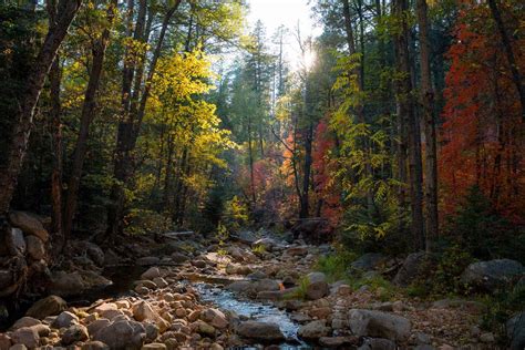 See Spring Trail A Fall Staple In Payson Arizona Karabou Adventures