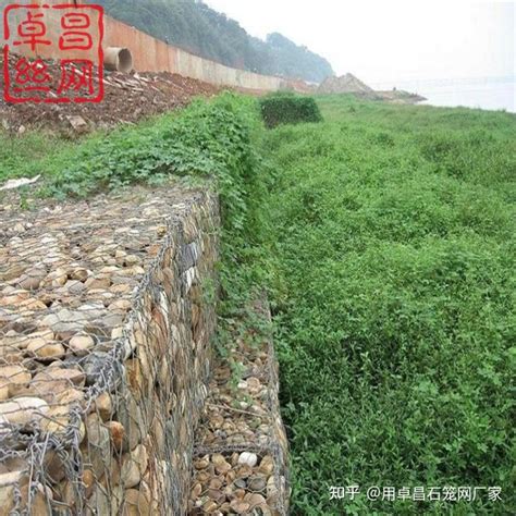 格宾网 生态河道建设者 知乎